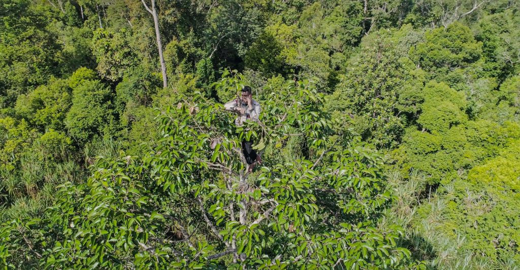 Photobook: Have you seen this side of the Sumatra forest? - Frontier ...